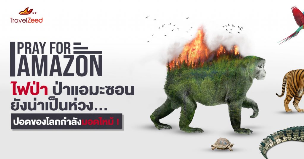 Pray for Amazon ไฟป่า ป่าแอมะซอน ยังน่าเป็นห่วง...ปอดของโลกกำลังมอดไหม้ ...