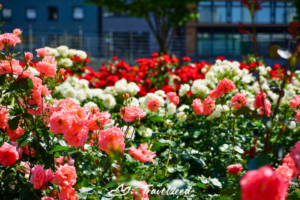 25 ที่เที่ยว โอซาก้า อัปเดทล่าสุด จุดเช็กอิน ในปี 2024