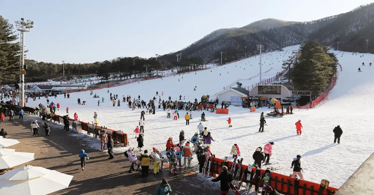 ทัวร์จีน ปักกิ่ง สนุกไปกับสกีรีสอร์ทและกำแพงเมืองจีน (ลงร้าน) (VZ) 5 วัน 3 คืน | TravelZeed.com